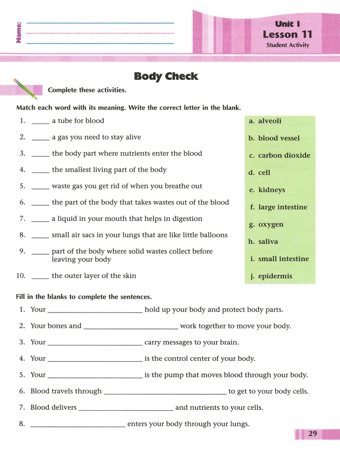 Horizons Health Grade 3 Student Workbook – Anchor Academic Services
