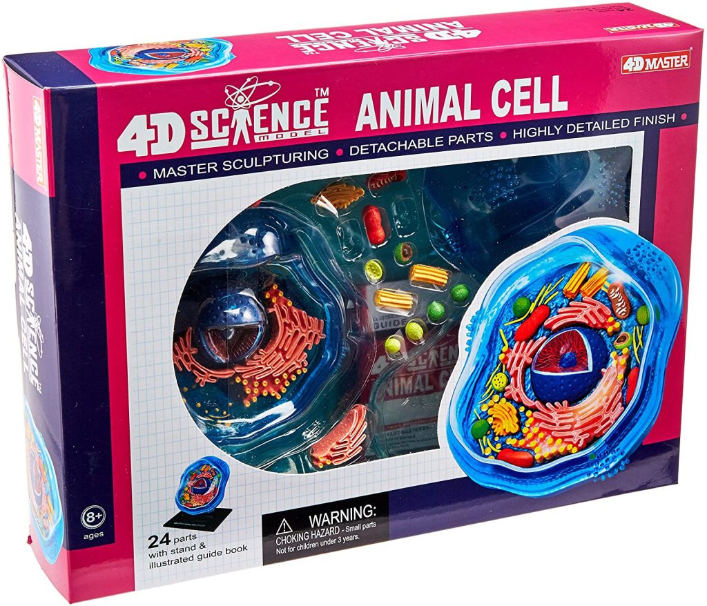 4D Science Animal Cell Kit – Anchor Academic Services