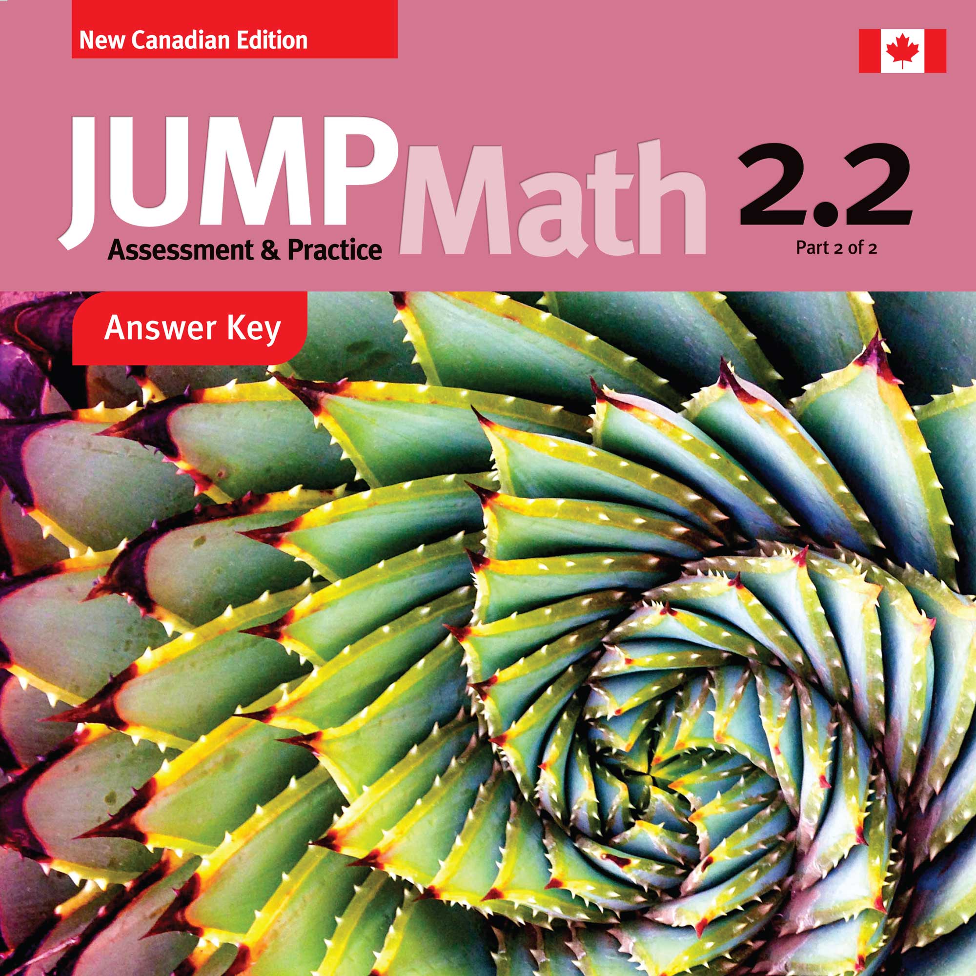 Jump Math 2 2 Assessment Practice Answer Key Anchor Academic Services Jump Math 2 2 Assessment Practice Answer Key Anchor Academic Services
