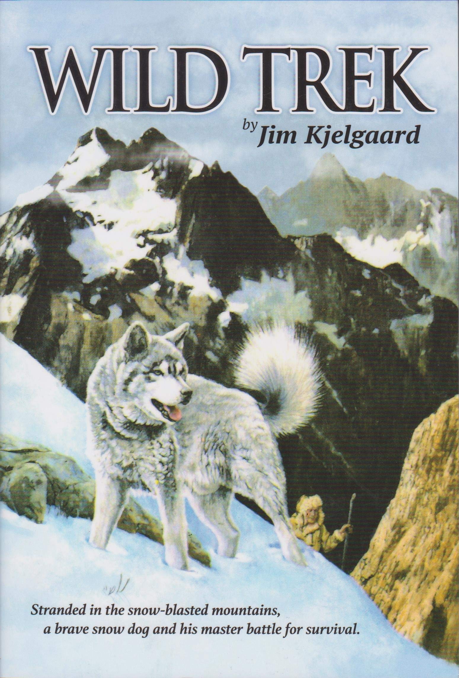 Wild Trek – Anchor Academic Services